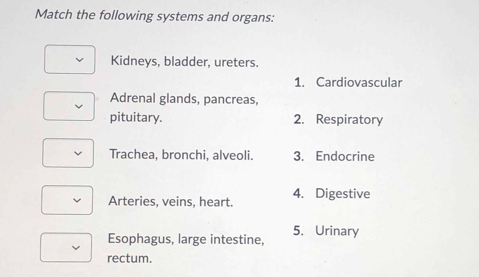 Solved Match the following systems and organs:Kidneys, | Chegg.com