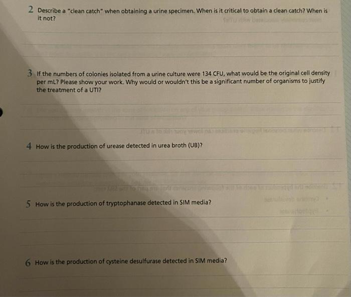 Solved 2 Describe a clean catch when obtaining a urine | Chegg.com