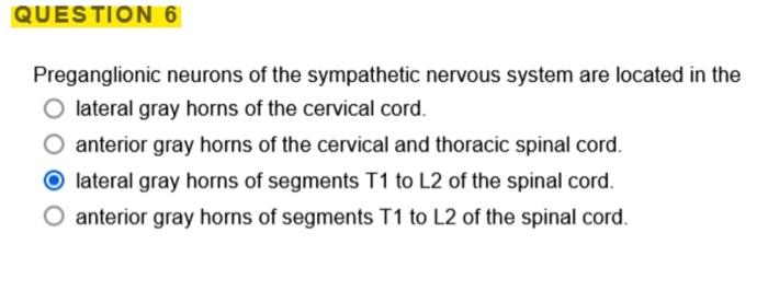 Solved Preganglionic neurons of the sympathetic nervous | Chegg.com