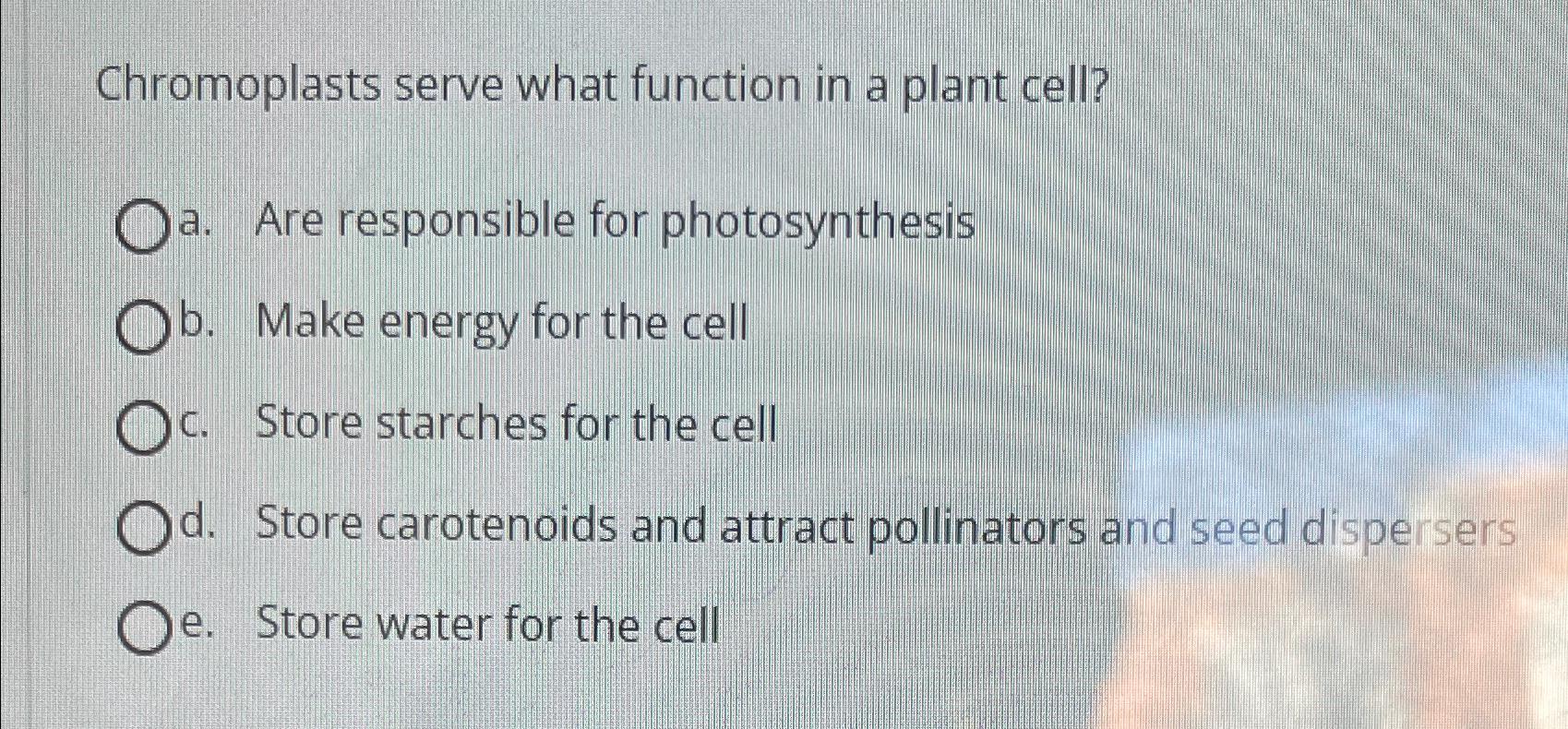 Solved Chromoplasts serve what function in a plant cell?a. | Chegg.com