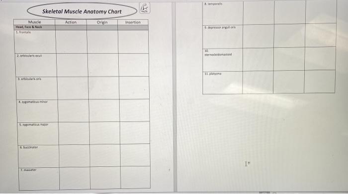 Solved legrals Skeletal Muscle Anatomy Chart Action Orien | Chegg.com