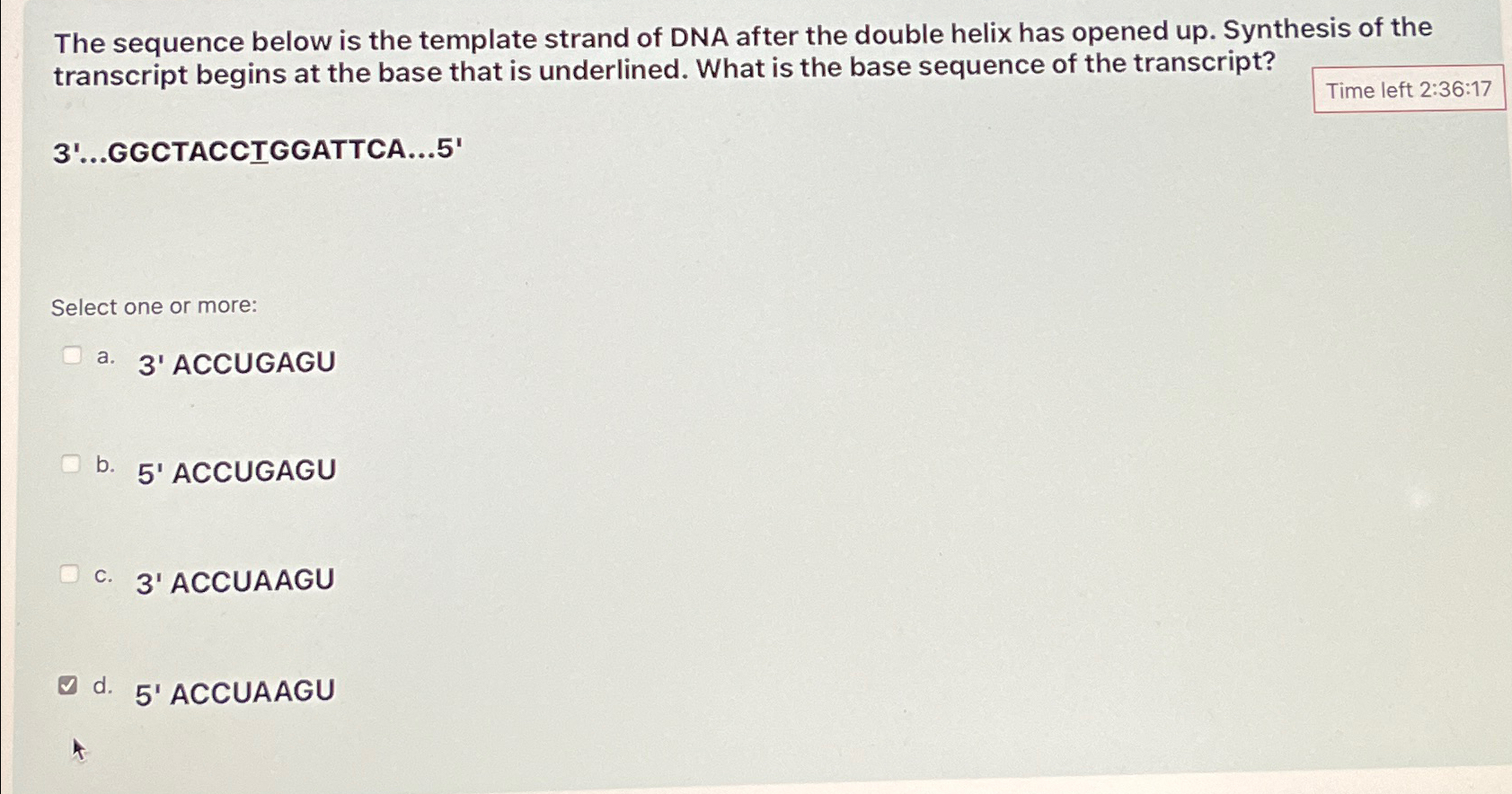 Solved The sequence below is the template strand of DNA | Chegg.com