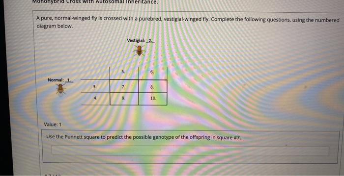 Solved Monohybrid Cross with Autosomal Inheritance. A pure, | Chegg.com