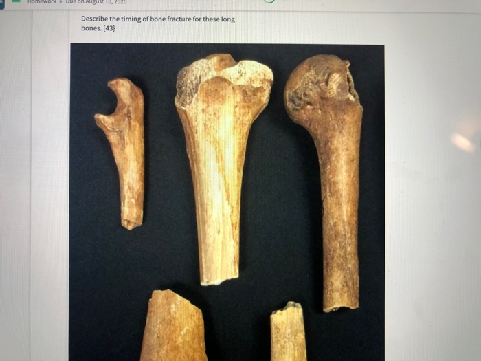 Solved Homework Wue on August 10, 2020 Describe the timing | Chegg.com