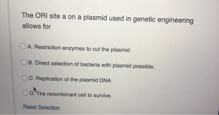 Solved The ORI site a on a plasmid used in genetic | Chegg.com