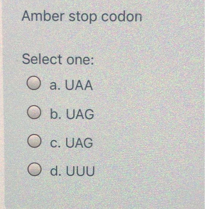 Solved Amber stop codon Select one: O a. UAA O b. UAG O c. | Chegg.com