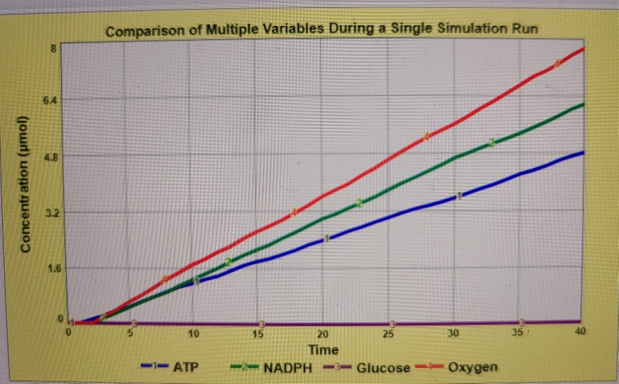 Solved Photosynthesis simulation: 1) What do the graphs | Chegg.com