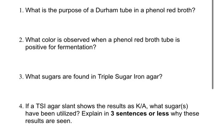 Solved 1. What is the purpose of a Durham tube in a phenol | Chegg.com