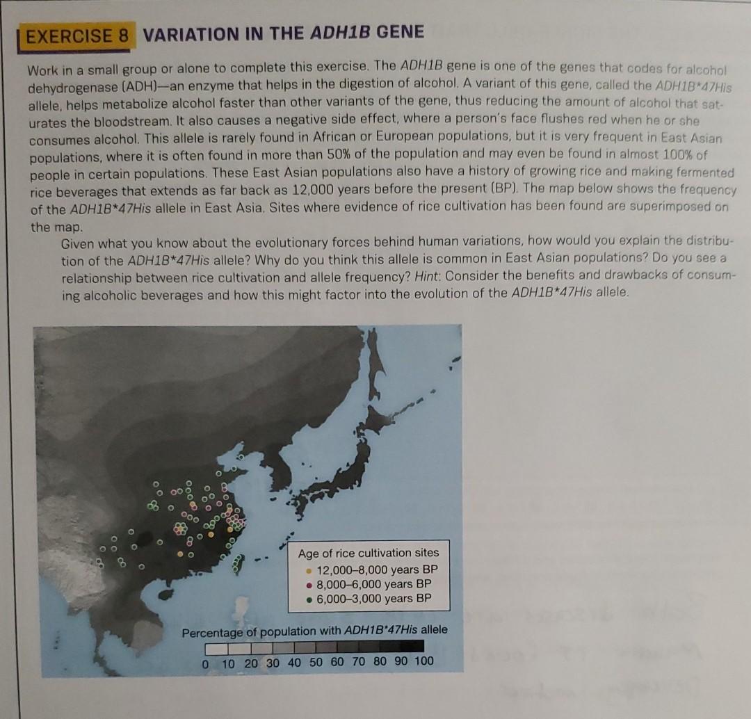 Solved EXERCISE 8 VARIATION IN THE ADH1B GENE Work in a | Chegg.com