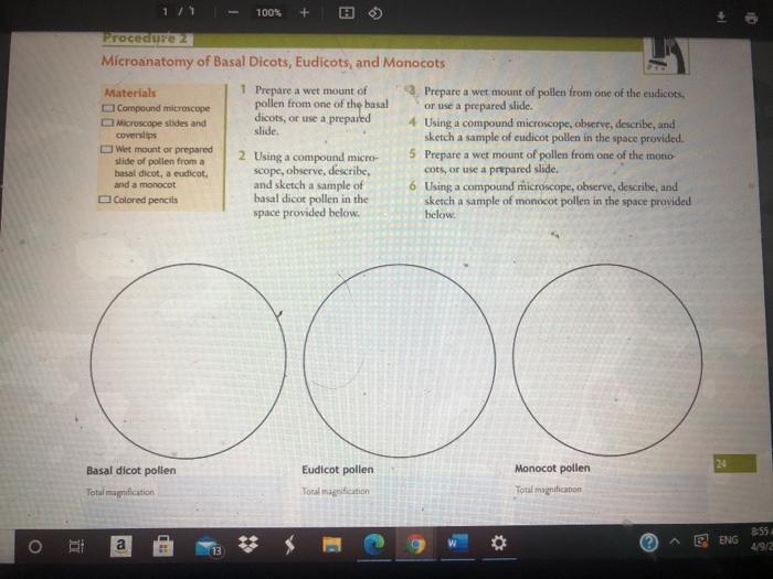 171 100% + Procedure 21 Microanatomy of Basal Dicots, | Chegg.com