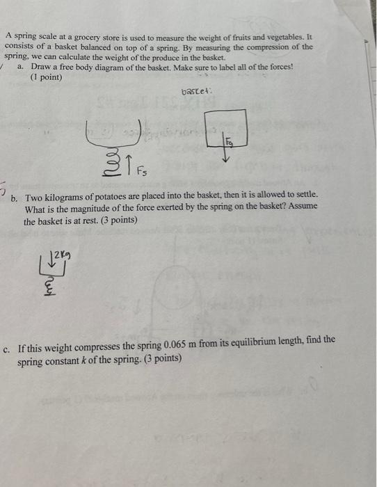 Solved A spring scale at a grocery store is used to measure | Chegg.com