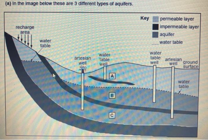 Solved (a) In the image below these are 3 different types of | Chegg.com