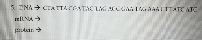 Solved Use codon chart to determine the amino acid sequence. | Chegg.com