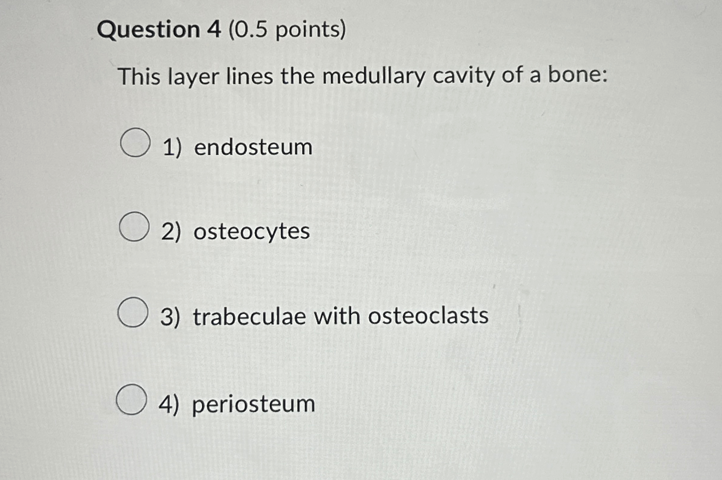 Solved Question 4 (0.5 ﻿points)This layer lines the | Chegg.com