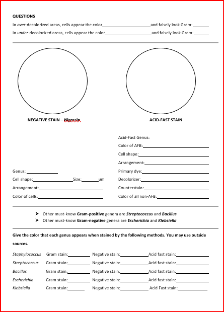 Solved QUESTIONSIn over-decolorized areas, cells appear the | Chegg.com
