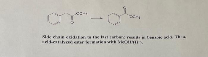 Solved Side chain oxidation to the last carbon: results in | Chegg.com