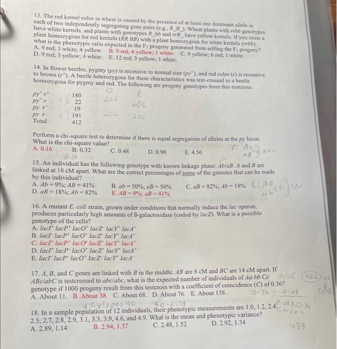 Solved 13. The red kernel color in wheat is caused by the | Chegg.com