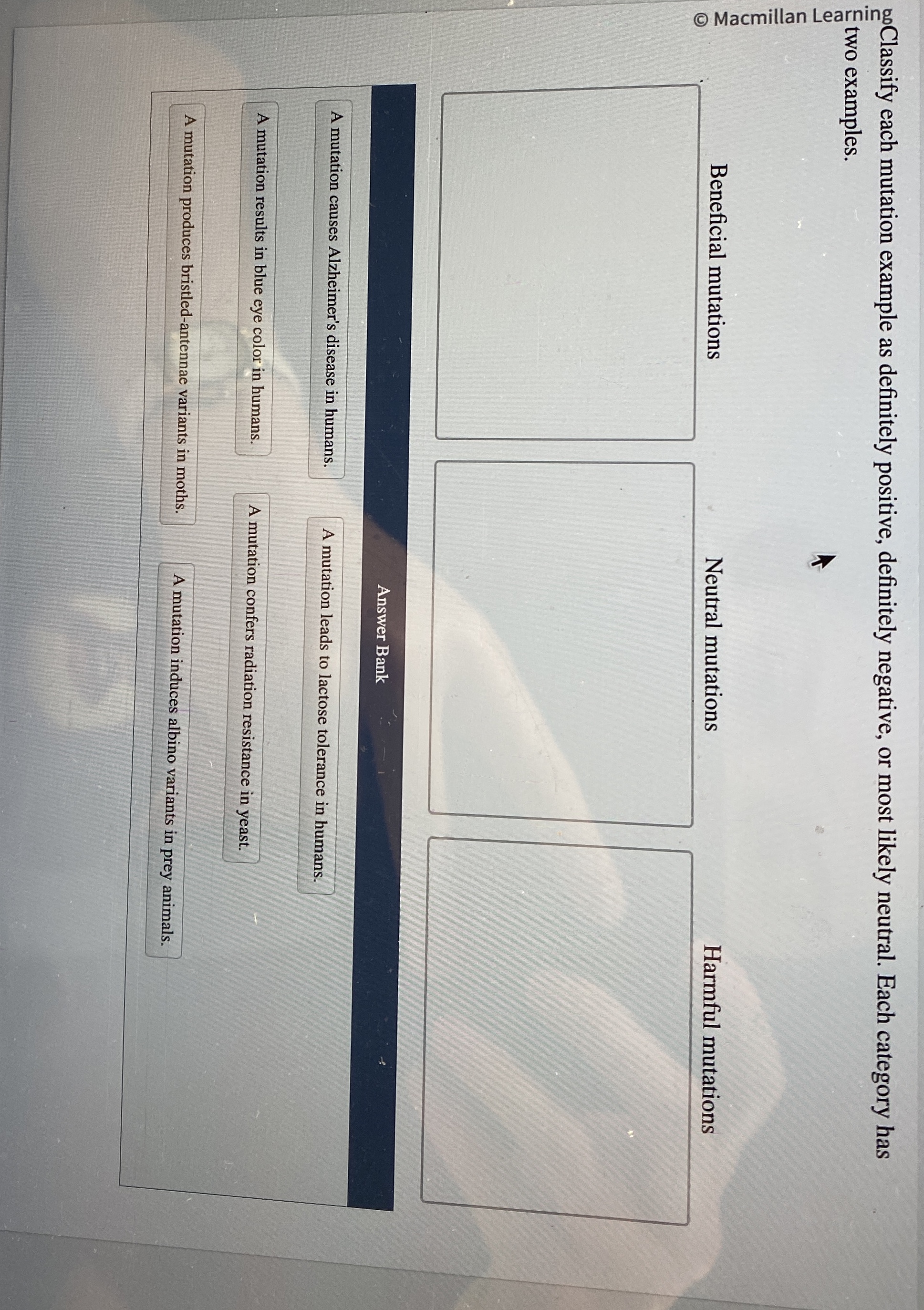 Solved Classify each mutation example as definitely | Chegg.com