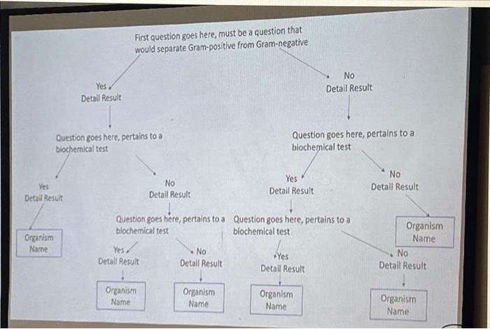 Solved Please help! Need help understanding how to make a | Chegg.com