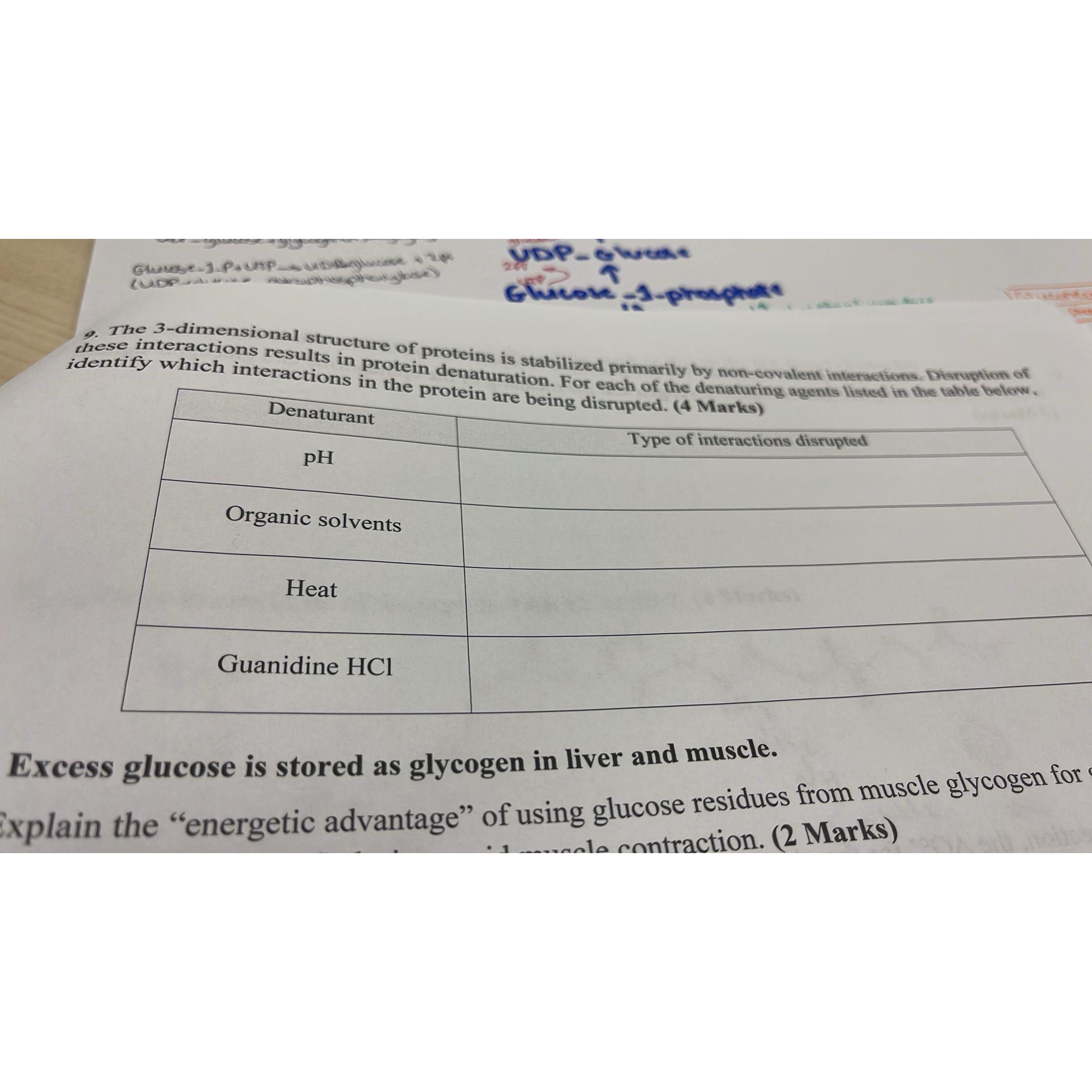 Solved The 3-dimensional structure of proteins is stabilized | Chegg.com