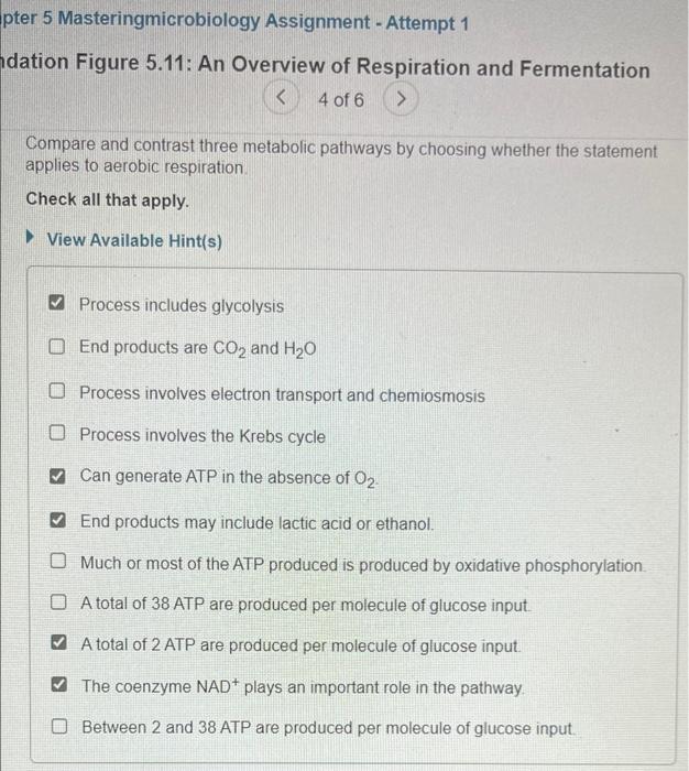 Solved pter 5 Masteringmicrobiology Assignment - Attempt 1 | Chegg.com