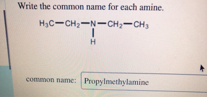 Solved Write the common name for each amine. | Chegg.com