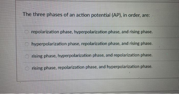 Solved The three phases of an action potential (AP), in | Chegg.com