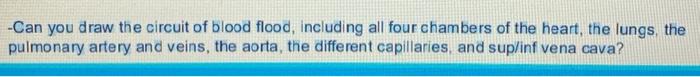Solved -Can you draw the circuit of blood flood, including | Chegg.com