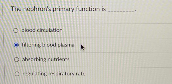 Solved The nephron's primary function is blood circulation | Chegg.com