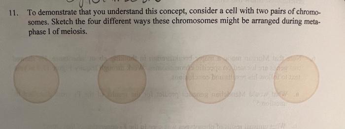 Solved 11. To demonstrate that you understand this concept, | Chegg.com