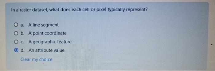 Solved In a raster dataset, what does each cell or pixel | Chegg.com