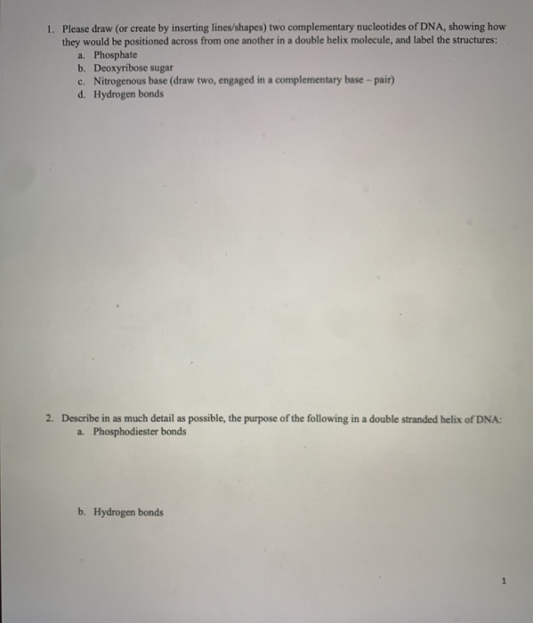 Solved 1 Please Draw Or Create By Inserting Linesshapes