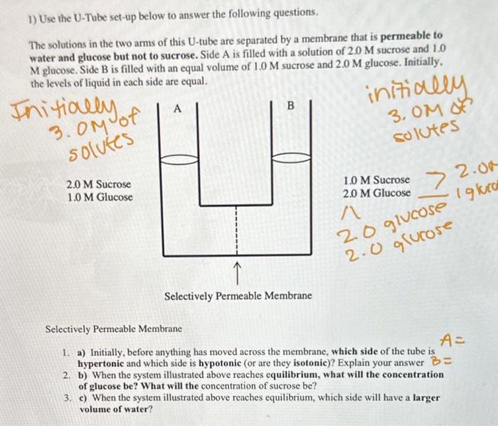 Solved can you break down the answer for questions 1-3 with | Chegg.com