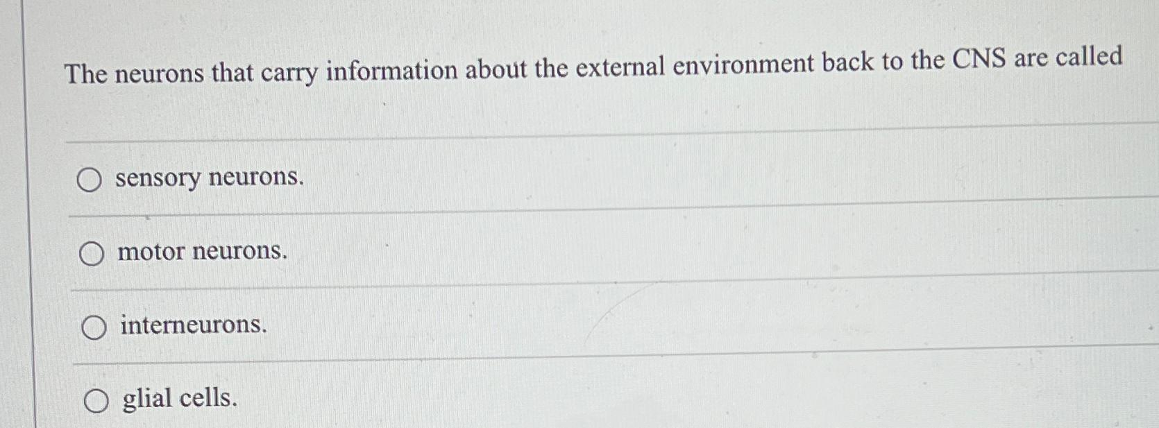 Solved The neurons that carry information about the external | Chegg.com