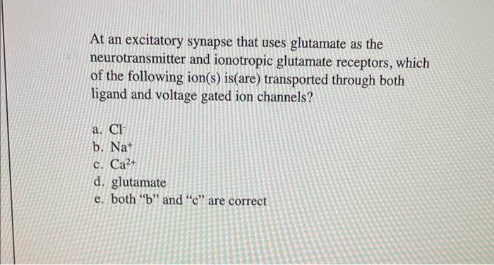 Solved At an excitatory synapse that uses glutamate as the | Chegg.com