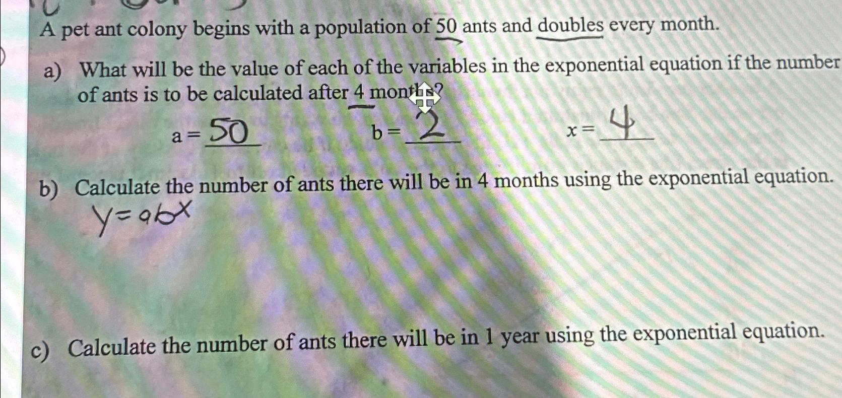 Solved A pet ant colony begins with a population of 50 ﻿ants | Chegg.com