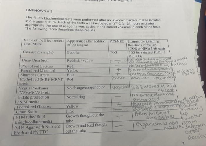 Solved The follow biochemical tests were performed after an | Chegg.com