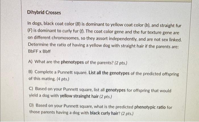 Solved Dihybrid Crosses In dogs, black coat color (B) is | Chegg.com