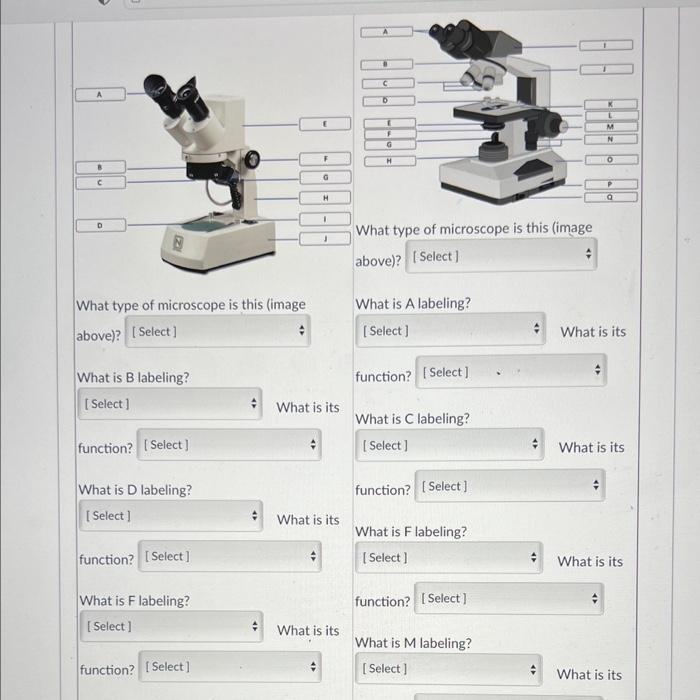 Solved What type of microscope is this (image above)? What | Chegg.com