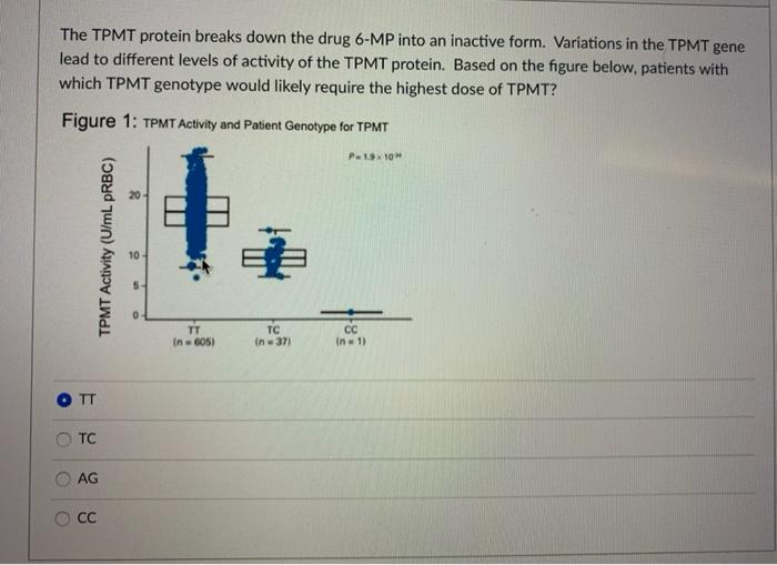 Solved The TPMT protein breaks down the drug 6-MP into an | Chegg.com