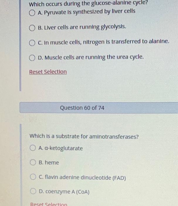 Solved Which occurs during the glucose-alanine cycle? O A. | Chegg.com