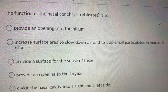 Solved The function of the nasal conchae (turbinates) is to: | Chegg.com