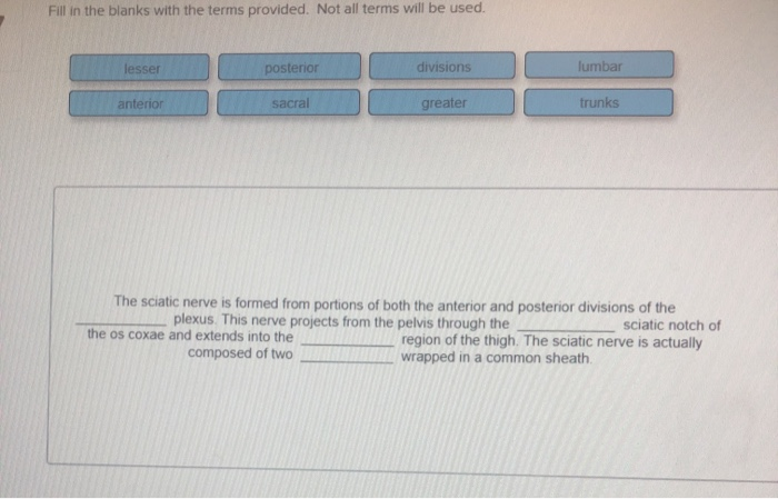 Solved Classify the given items with the appropriate group. | Chegg.com