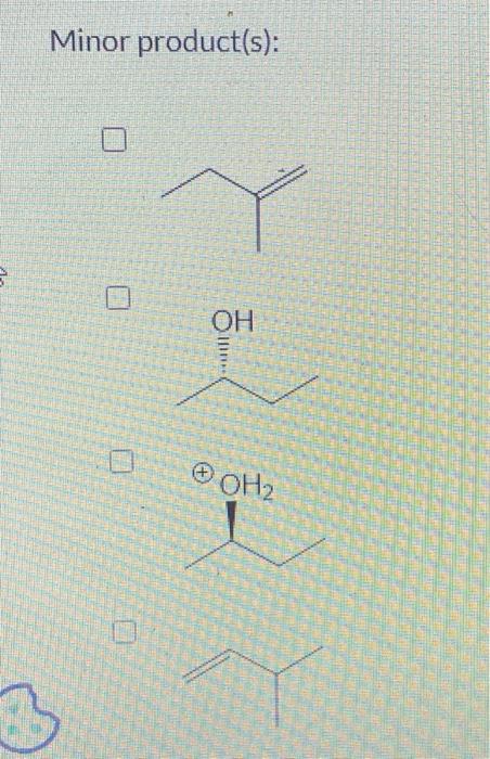 Solved Identify the major and minor product(s) of the | Chegg.com