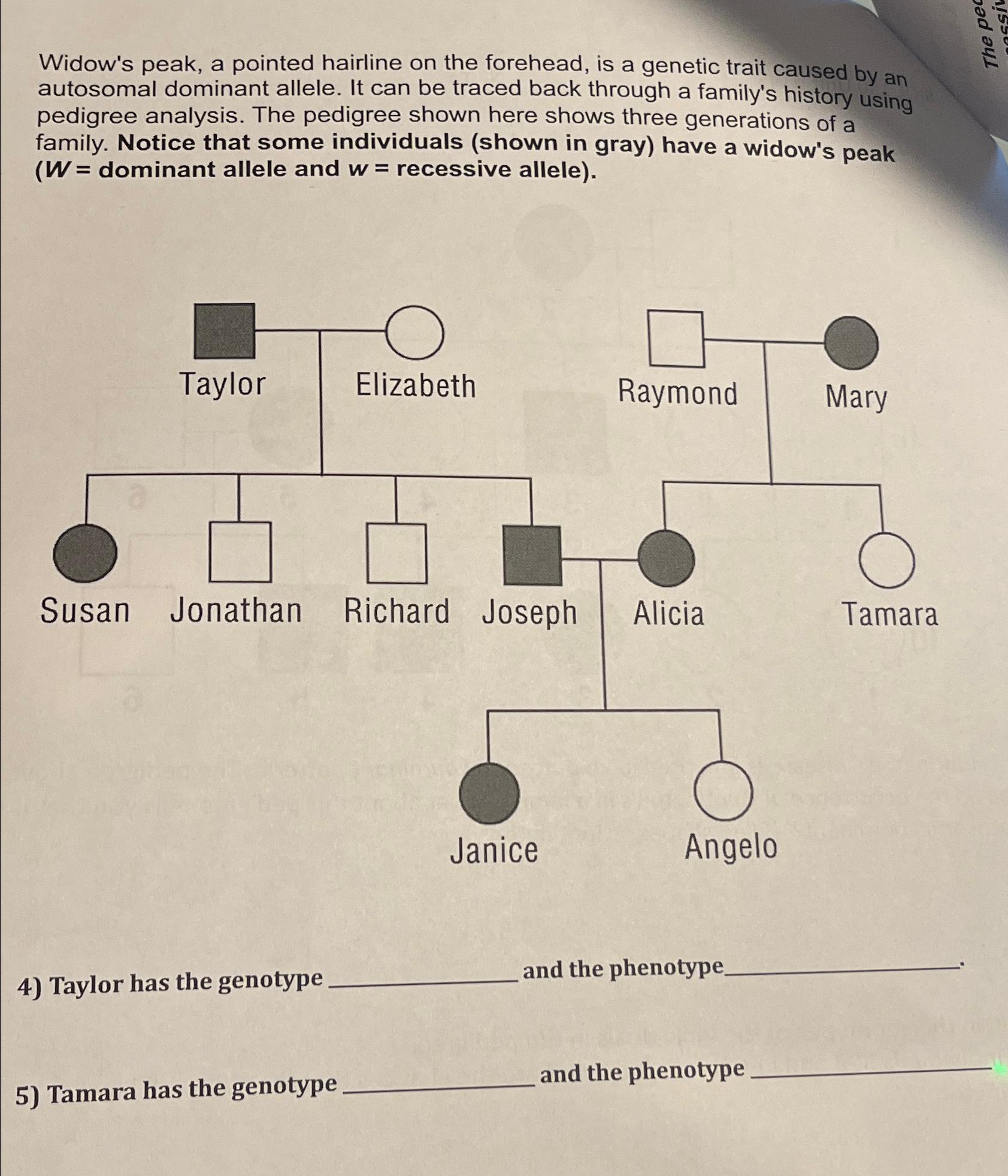 Solved Widow's peak, a pointed hairline on the forehead, is | Chegg.com