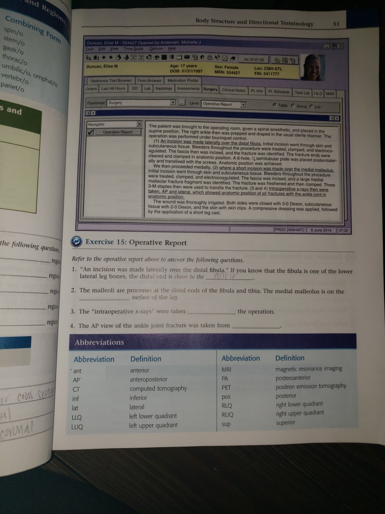 Solved And Regions Combining Form Body Structure and | Chegg.com