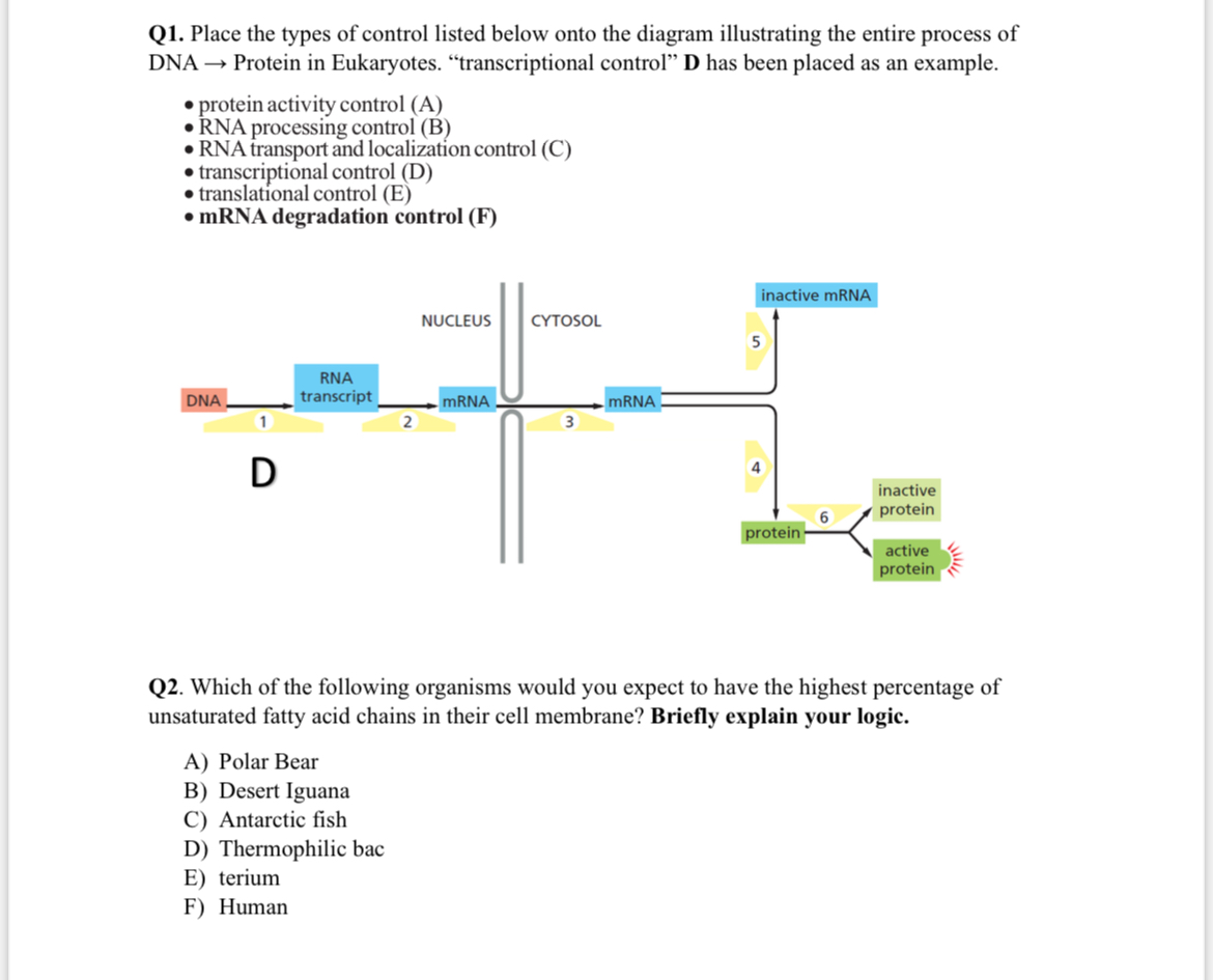 Solved Q1. Place the types of control listed below onto the | Chegg.com