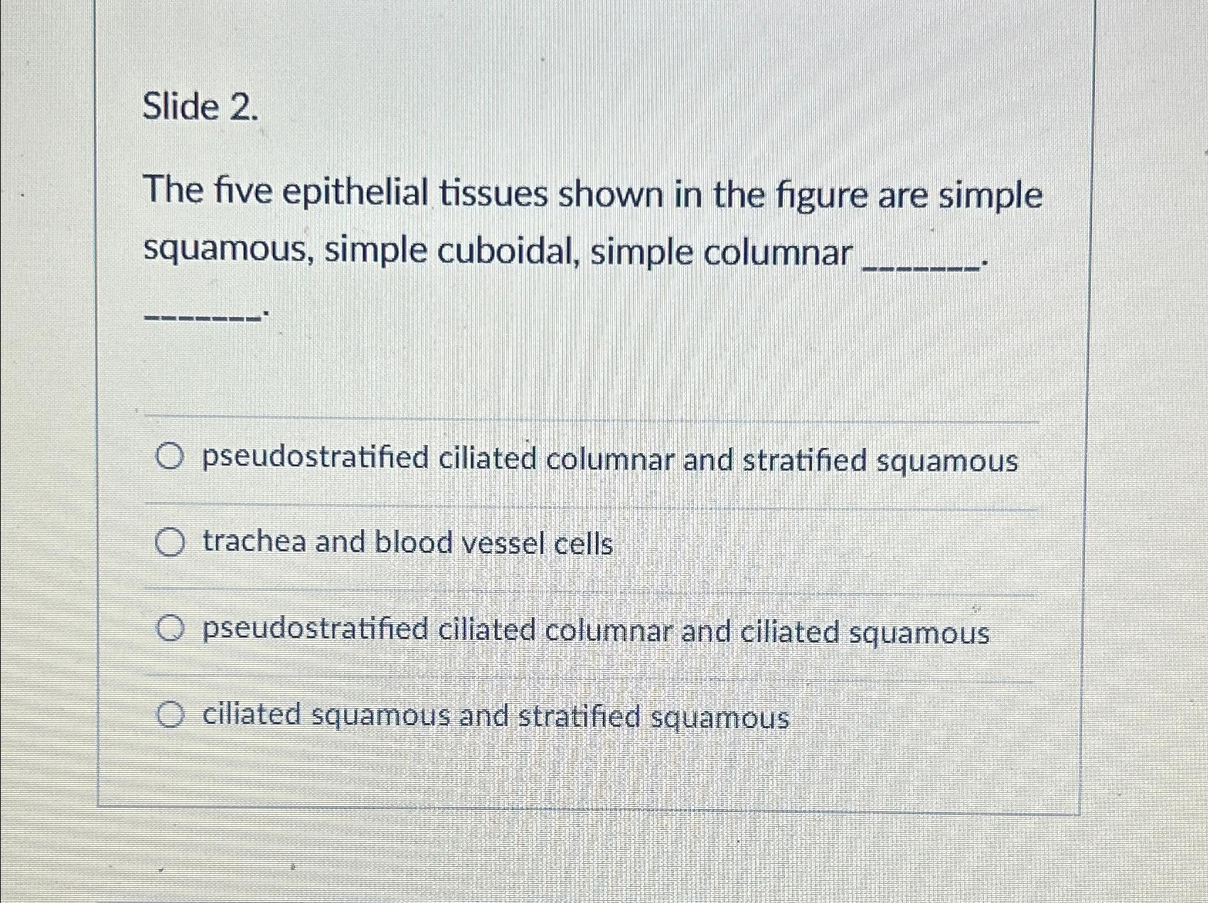 Solved Slide 2.The five epithelial tissues shown in the | Chegg.com