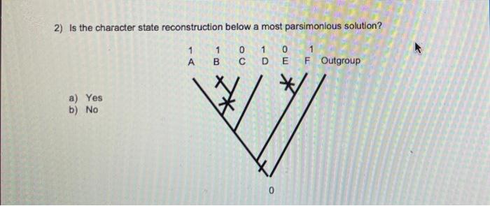 Solved 2) Is the character state reconstruction below a most | Chegg.com