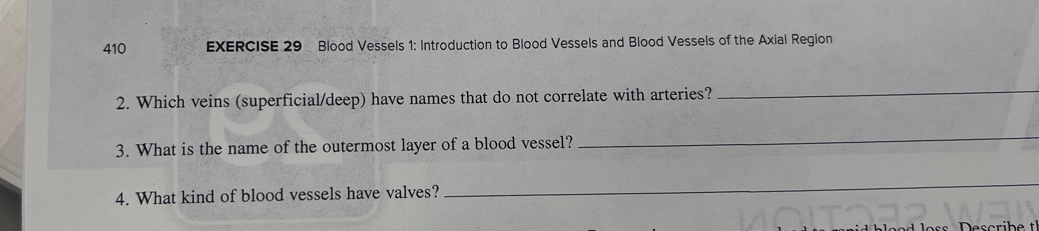 410EXERCISE 29 ﻿Blood Vessels 1: Introduction to | Chegg.com